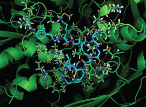 Picture Of Peptides Docked In Xod Enzyme 1fiq Showing Polar