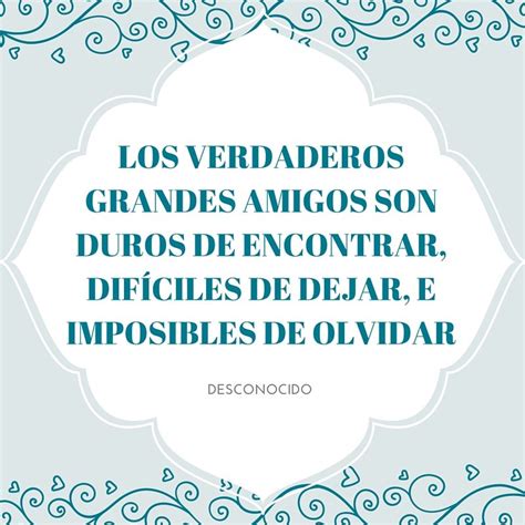 50 Frases Célebres De La Amistad Y El Compañerismo Hoy