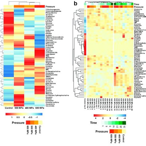 Heatmap Visualization Of The Differential Concentrations Of Metabolites