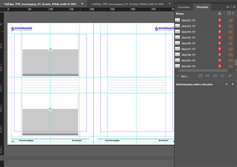 Adding More Link Placeholders Rindesign