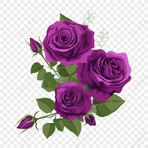 보라색 장미 벡터상표클립 아트만화 Png 일러스트 무료 다운로드 Lovepik