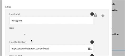 Aem 63 Icon Picker Not Showing Icons When Using Custom Fonts · Issue