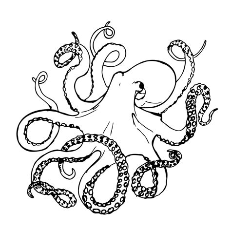 Octopus Clip Art Black And White