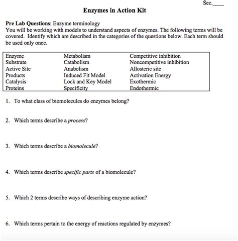 Solved Sec Enzymes In Action Kit Pre Lab Questions Enzyme