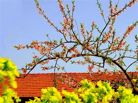 江苏省农垦肿瘤医院 怎么样 地址 电话 挂号方式 中国医药信息查询平台
