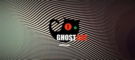 apache tomcat 存在ajp协议文件读取 包含漏洞（称为ghostcat），请及时修复 wordpress大学