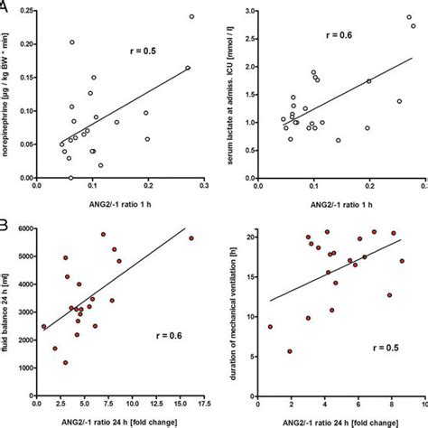 Angiopoietin Signaling At The Tie2 Receptor Angiopoietin 1 Ang1 Is