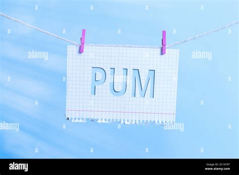 Text Sign Showing Pum Business Photo Text Unwanted Change That Can Be Performed By Legitimate