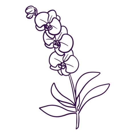 Diseño Png Y Svg De Arte De Línea De Icono De Planta De Flor Para Camisetas