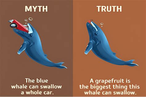 Patent Myths That You Should Avoid TT Consultants