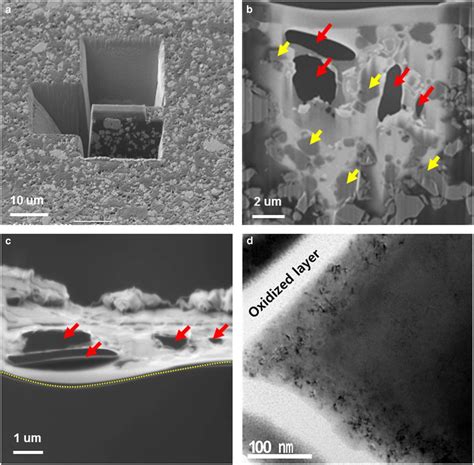 The Results Of The Focused Ion Beam Fib Milling Of The Sample Download Scientific Diagram