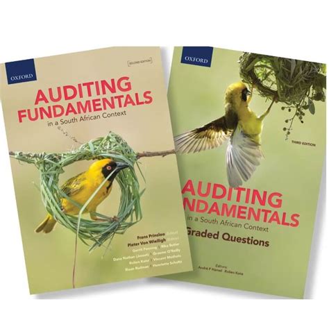 Auditing Fundamentals In Sa Context And Graded Questions 2ed Bundle Discount Textbooks