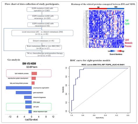 P111 03 Proteomics Based Predictive Model For The Increased Brain