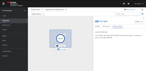 Advanced Helm Support In The Openshift 45 Web Console Red Hat Developer