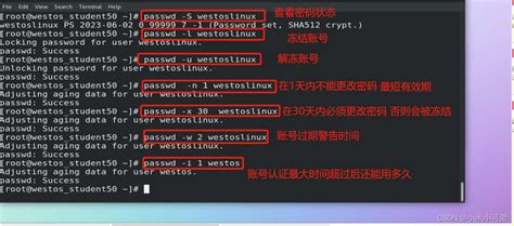 Linux系统中的用户管理查看用户所在组 Csdn博客