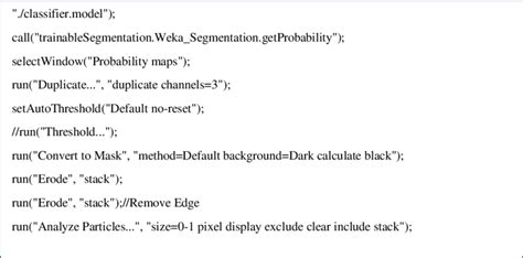 imagej macro in order to obtain the volumetric representation to the