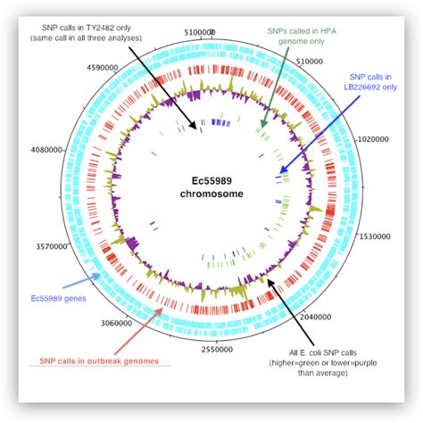 introduction into variant analysis variant analysis