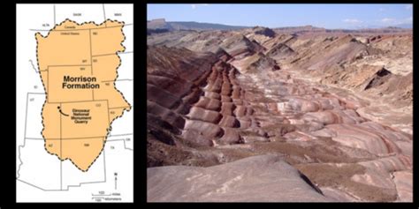Powerpoint 1 Dinosaur History And Fossilization Process Flashcards