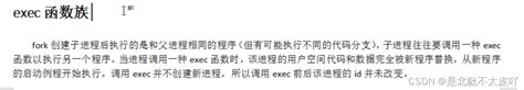 Linux系统编程之exec函数族 用exec函数族函数实现 ls l a 命令 CSDN博客
