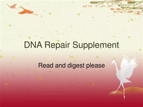 Ppt Dna Repair Supplement Powerpoint Presentation Free Download Id