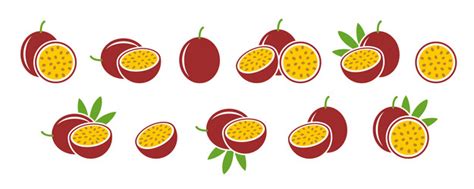 Passion Fruit Royalty Free Vector Image Vectorstock