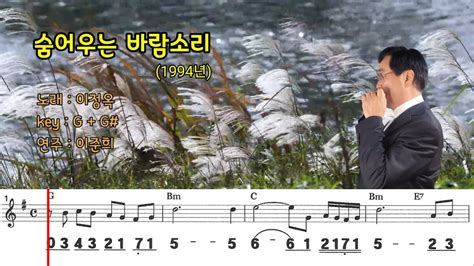 숨어우는 바람소리 Gg 이정옥 노래 하모니카 연주 Youtube Music