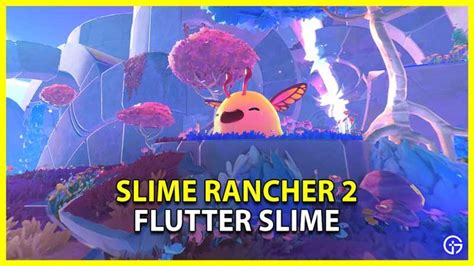 Where To Find Flutter Slimes In Slime Rancher