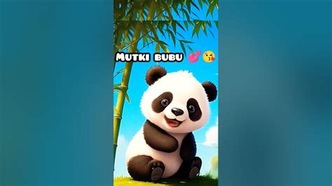 Mutki Bubu 💕 Aicutecatstories Cute Cutecats Cutelovestatus Youtube