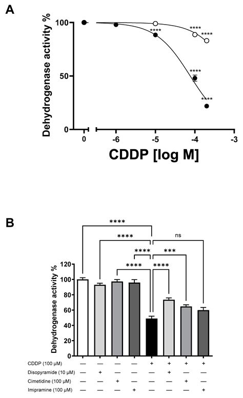 Ijms Free Full Text Modulating The Activity Of The Human Organic