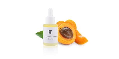 천연 살구 커널 캐리어 오일 마스터하기