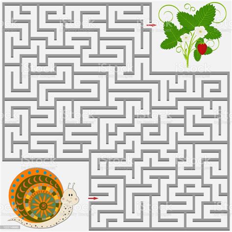 달팽이와 딸기 베리와 부시의 이미지와 미로 퍼즐 흰색 배경에 벡터 그림 고립 된 이미지 교육 및 개발 어린이 책의 장식 0명에 대한 스톡 벡터 아트 및 기타 이미지 Istock