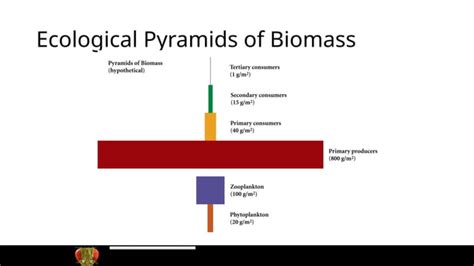 Biogeochemical Cycle Earth And Life Science Ppt