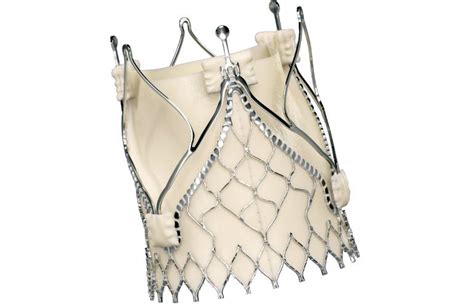 Analysts Expect Jenavalve Tavr Approval For Aortic Regurgitation