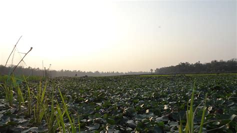 Dsc04330 Afiqur Rahman Flickr