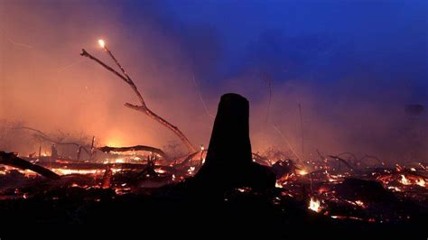 Incendios En El Amazonas Impresionantes Imágenes De La Selva Arrasada