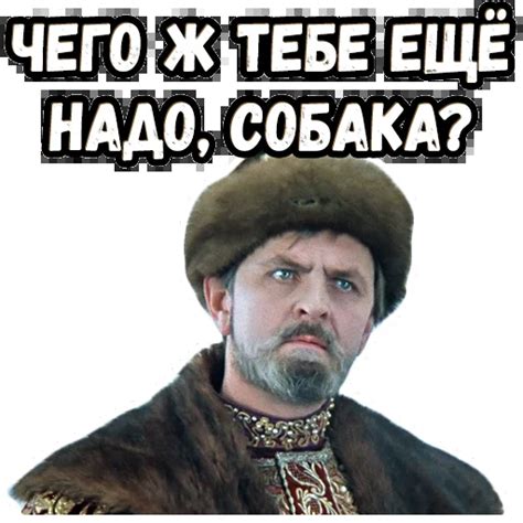 Путешествие бродячего кота на большом экране Адвенчура Stray получит