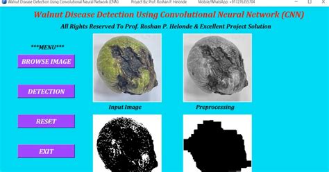 Python Code For Walnut Disease Detection Using Image Processing Final Year Projects