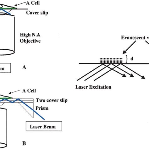 Schematic Of Total Internal Reflection Fluorescence Microscopy Download Scientific Diagram