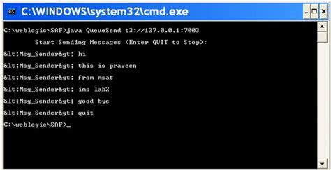 Praveen Kumar Reddy Documentation For Safstore And Forward Messages