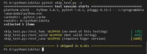 How To Skip And Handle Failed Testcases In Pytest Codedec