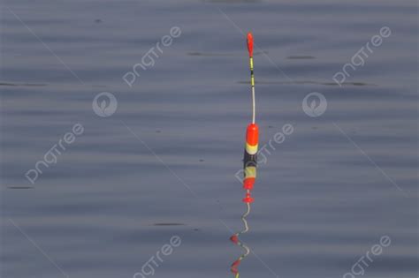 Fundo Pescando O Float Bobs Nas Ondas Foto E Imagem Para Download