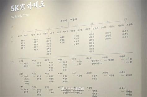 단독 Sk가계도에 등장한 그 이름최태원 노소영 이혼 판결 영향 줬을 듯 이코노믹데일리