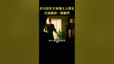 老兵送军犬参加主人葬礼，长途跋涉一路相伴 Youtube