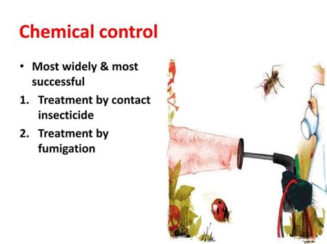 Management Of Stored Grain Insect Pest Ppt