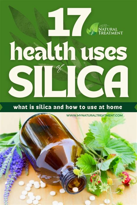 17 Health Uses Of Silica What Is Organic Silica 32 In 2023 Health