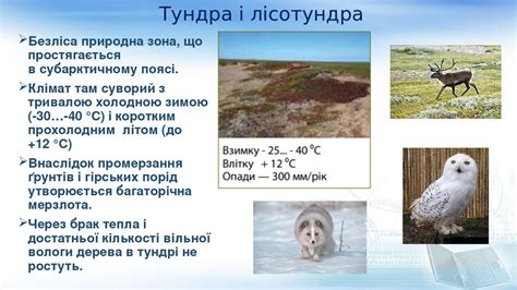 Презентація з географії 7 клас Природні комплекси материків та