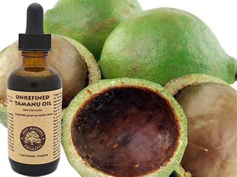 Tamanu Oil Virgin Organic Unrefined All Natural Cold Pressed Reduce