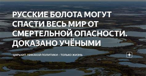 РУССКИЕ БОЛОТА МОГУТ СПАСТИ ВЕСЬ МИР ОТ СМЕРТЕЛЬНОЙ ОПАСНОСТИ ДОКАЗАНО УЧЁНЫМИ Царьград