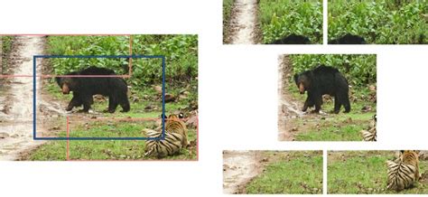 The Scheme Employed To Divide An Input Image Before Feature Extraction Download Scientific