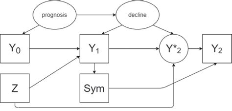 A Directed Acyclic Graph Encoding The Causal Assumptions Regarding The
